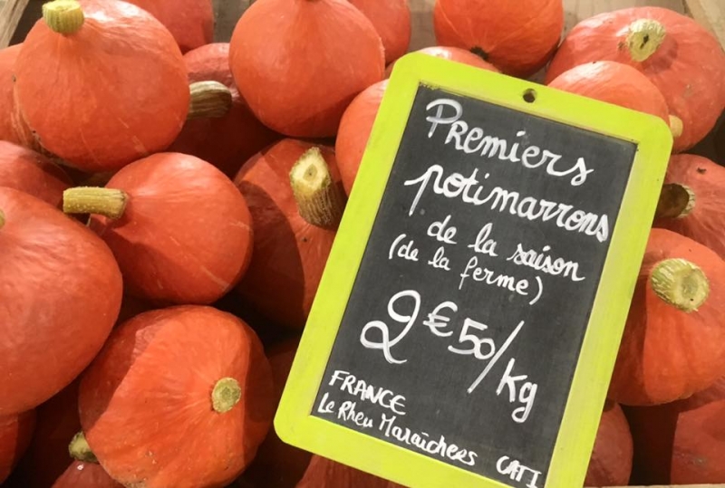 La saison des courges commence!...